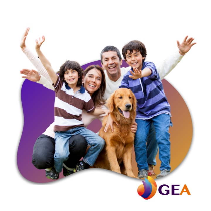 Asesoría Integral en Seguros, Geaseguros - Protección y Tranquilidad